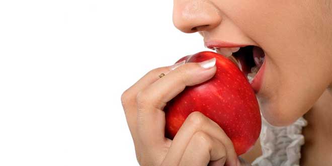 As Enzimas Digestivas e a sua Importância