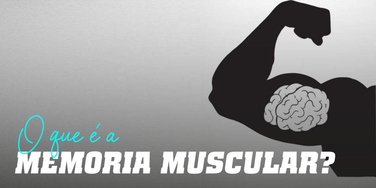 Memória Muscular – A Resposta da Ciência!【HSN Blog】
