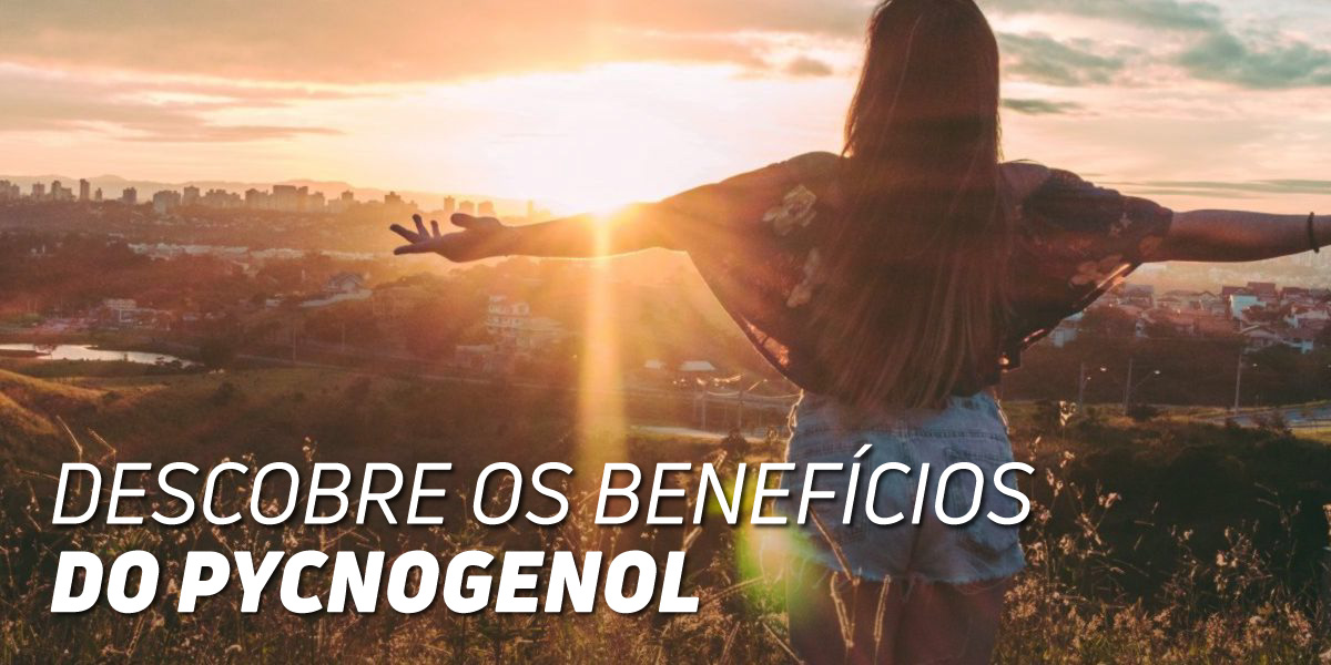 Propriedades e diferentes benefícios do pycnogenol no organismo