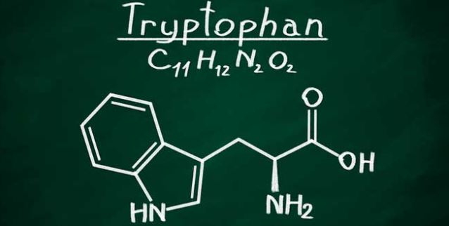 Triptófano - Tudo o que deves saber para favorecer o teu Organismo