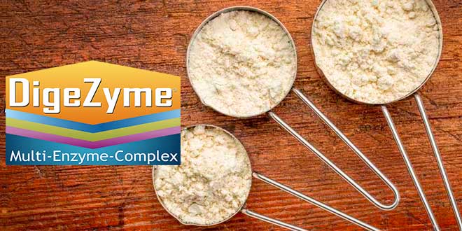 DigeZyme®, un complexo de Enzimas Digestivas - Ajuda com a Digestão