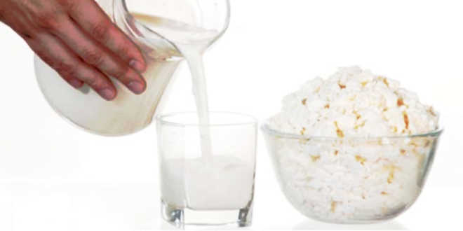 Caseína: Tudo o que precisas saber sobre a fonte de proteína