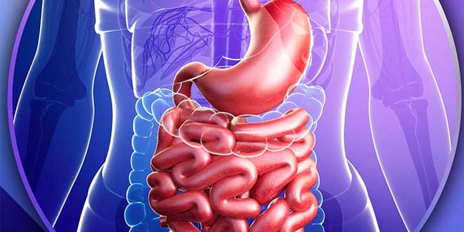 Colostro - O que é, composição e beneficios para os desportistas
