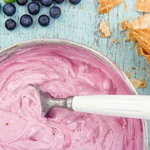 Inulina - Benefícios para a Saúde Intestinal e ação prebiótica