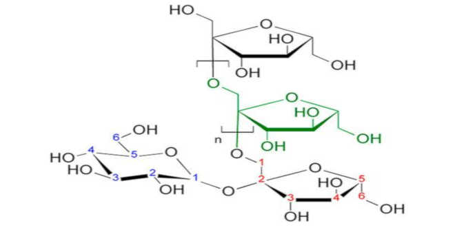 Inulina - Benefícios para a Saúde Intestinal e ação prebiótica