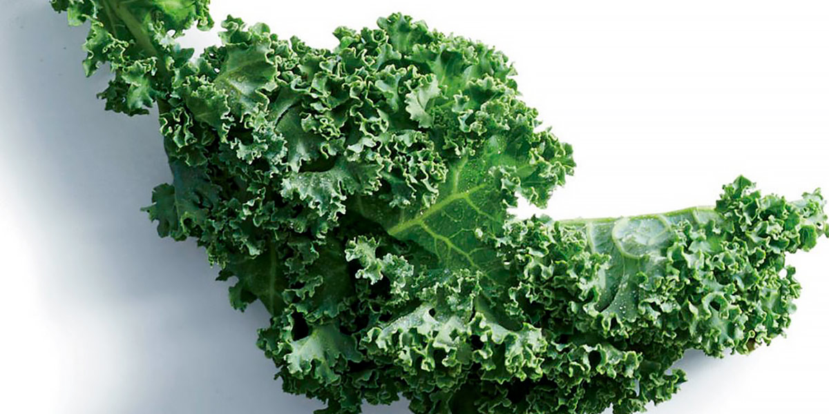 Tudo sobre o Kale: O que é, Propriedades e Receitas【HSN Blog】