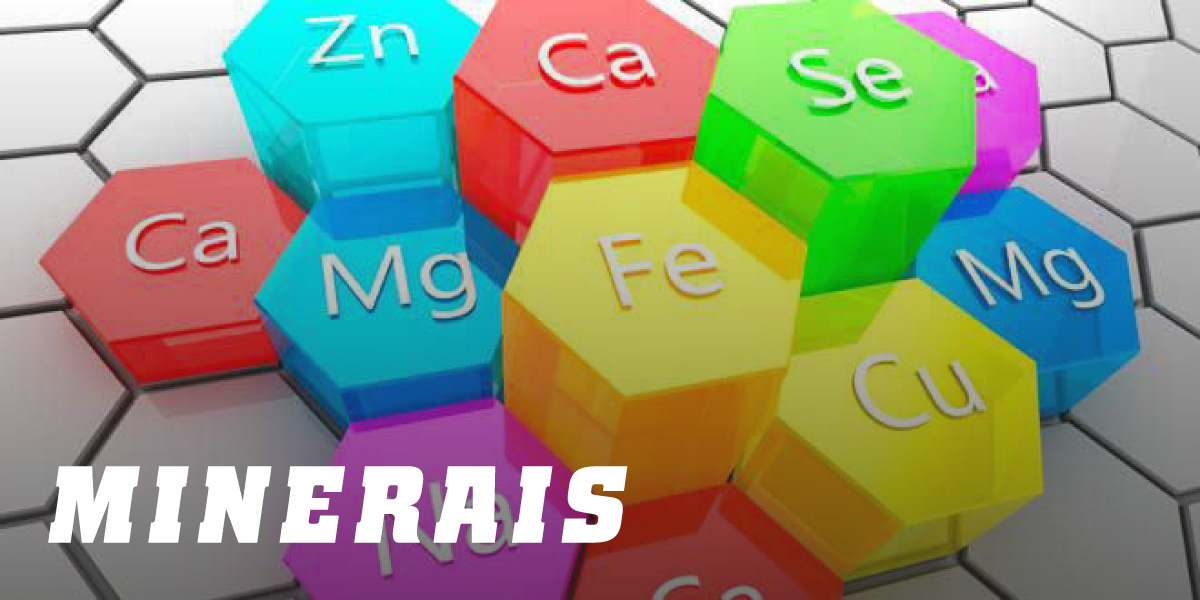 Minerais - Tábua completa e função de cada um deles