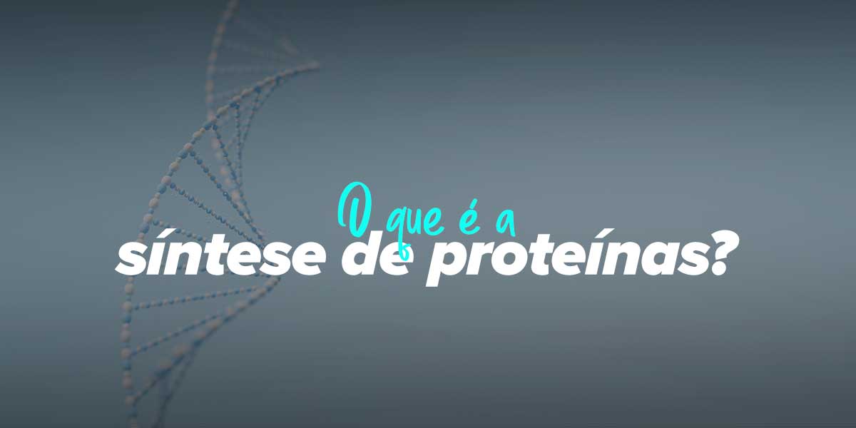 Etapas De Sintese De Proteinas Para Criancas