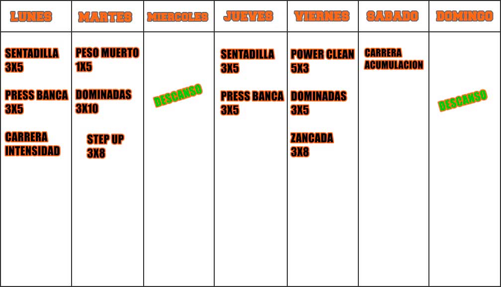 Guia HSN: Desportistas no Ginásio. Parte 4【2025