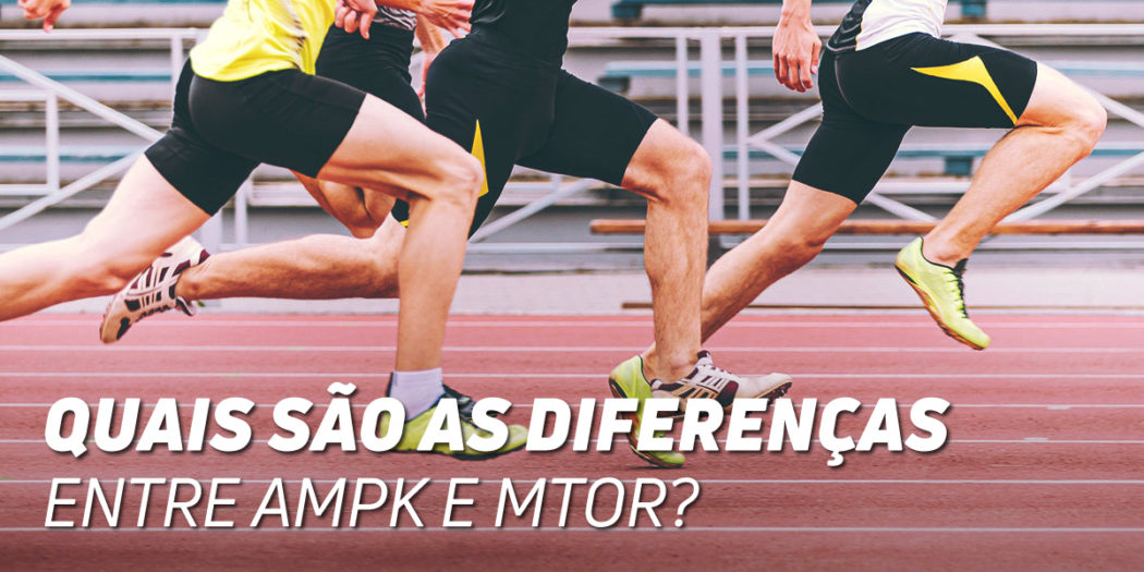 AMPK e mTOR – Tudo o que Necessitas Saber【HSN Blog】