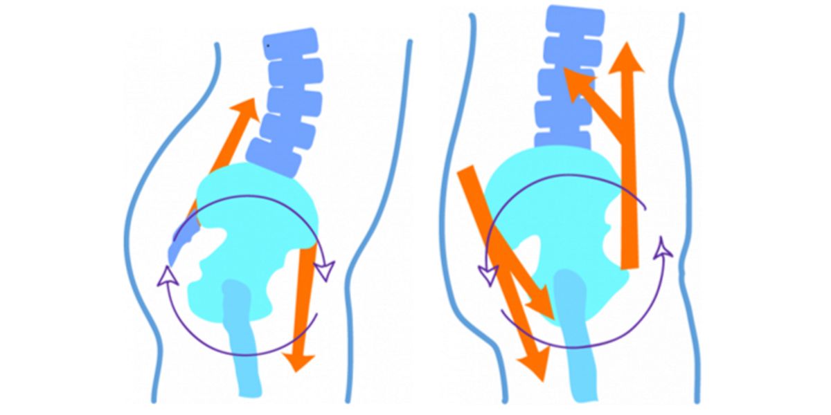 Hollow Body Hold – Como o Fazer Corretamente?【HSN Blog】