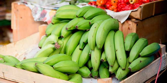 Amido Resistente: O que é, Benefícios, Ajuda a Emagrecerr?