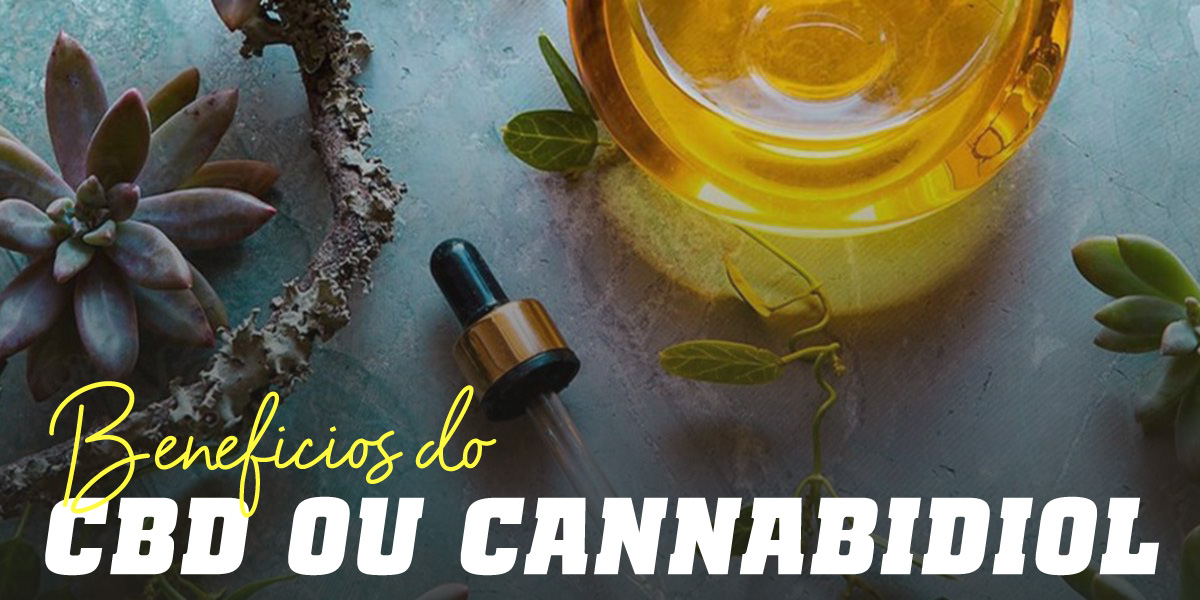 CBD ou Cannabidiol: O que é, Benefícios e Propriedades para a Saúde【HSN ...