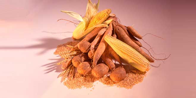 Amido Resistente: O que é, Benefícios, Ajuda a Emagrecerr?