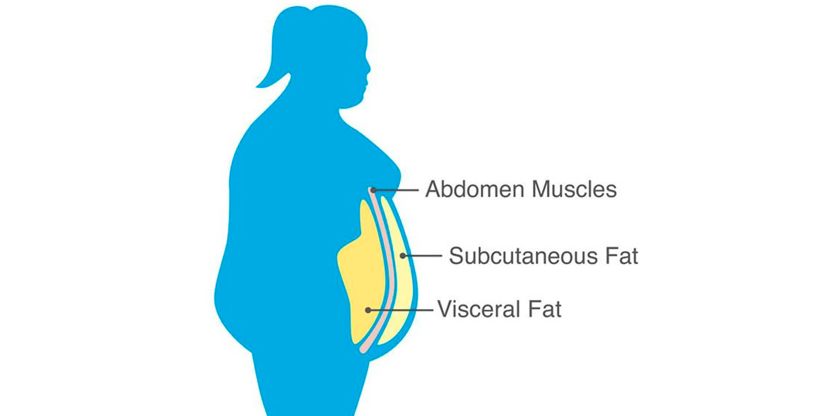 Bioimpedância: Calcula a tua Percentagem de Gordura Corporal.