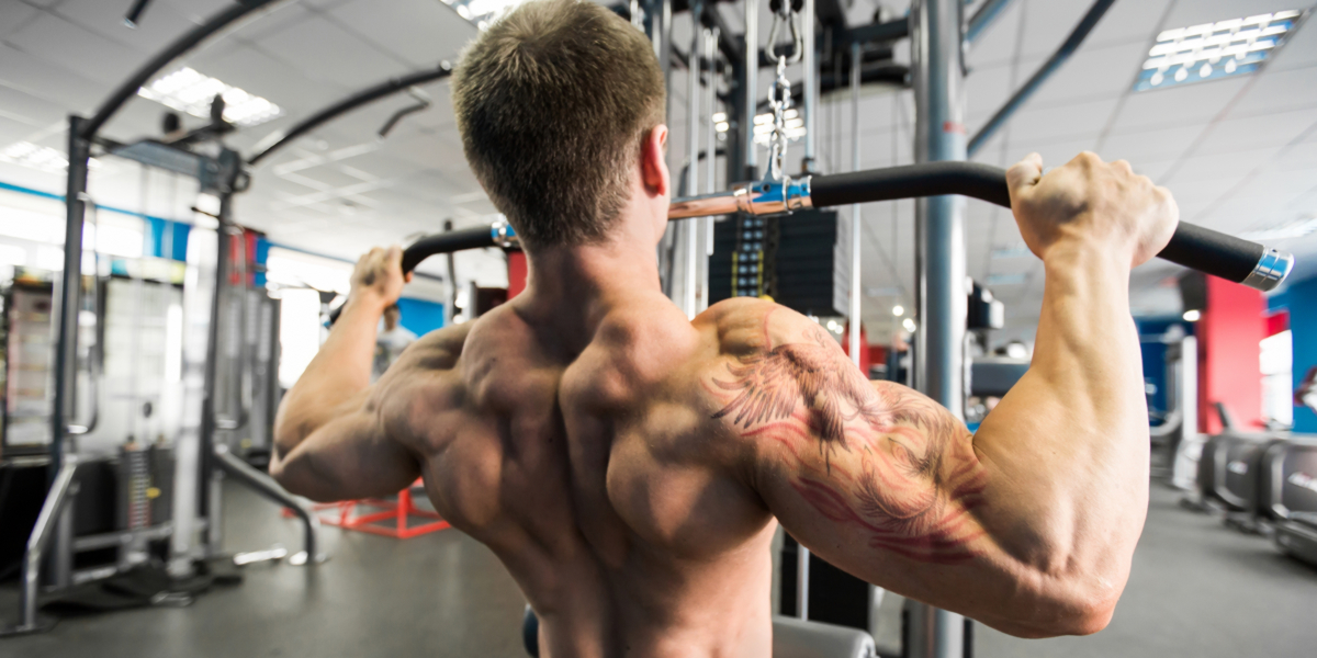 Musculos Da Maquina Pulldown Lat Trabalharam Lat Pulldown BOXPT