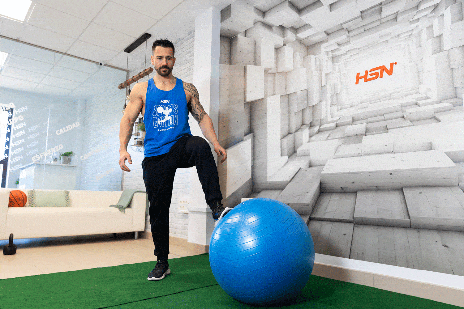 27 Exercícios com Bola de Pilates ou Fitball - HSN Blog