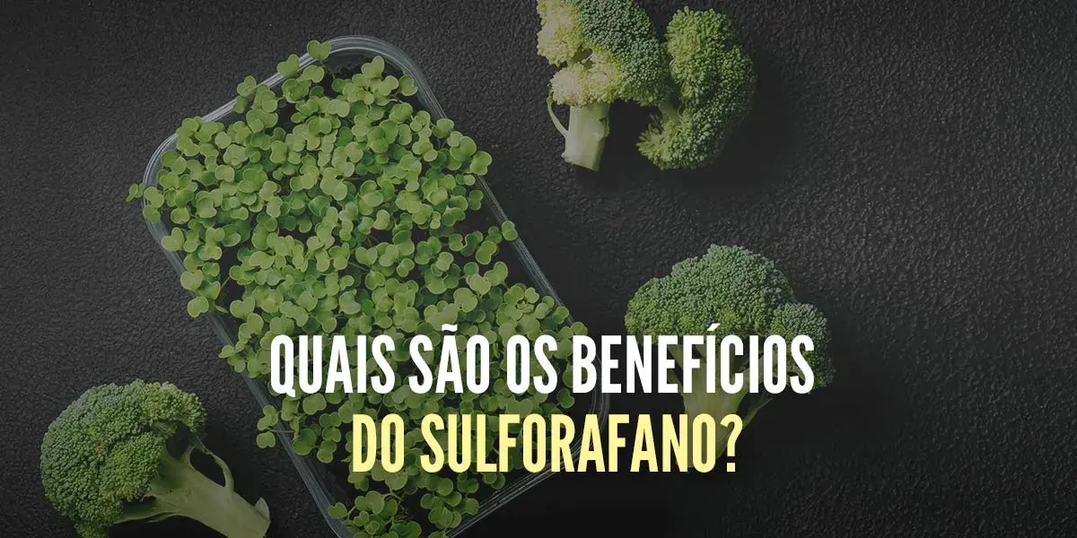 O que é o Sulforafano e quais são os seus benefícios para a saúde?